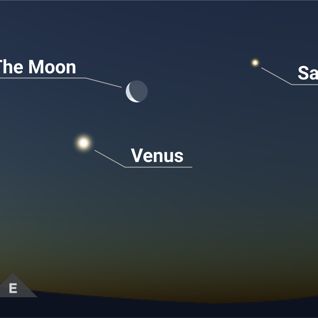 Moon Venus Mars Tonight